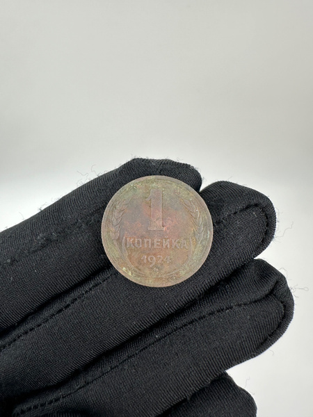 Монета 1 копейка 1924 г. СССР - купить в интернет-магазине OZON с быстрой доставкой (1444762216)