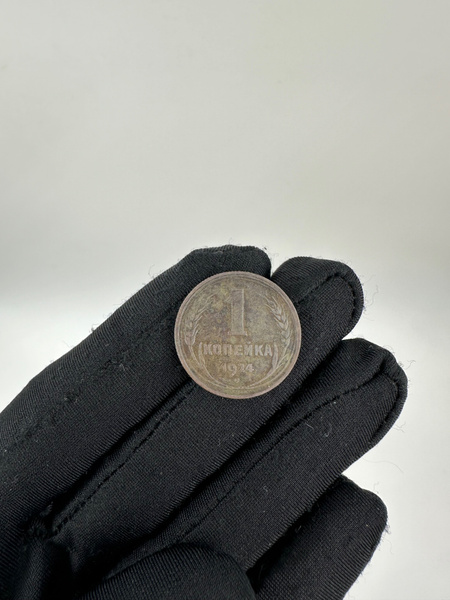 Монета 1 Копейка 1924 Год СССР! - купить в интернет-магазине OZON с быстрой доставкой (1444718447)