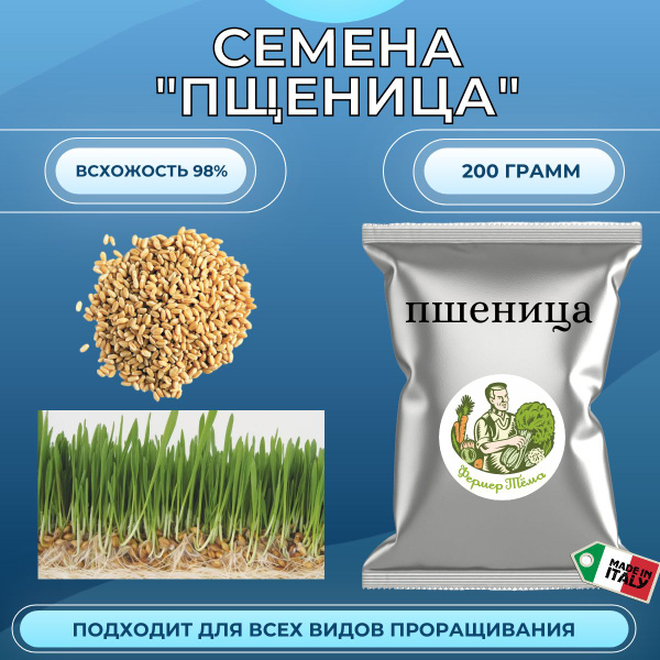 Семена для проращивания микрозелени "Пшеница отборная" 200 грамм ...