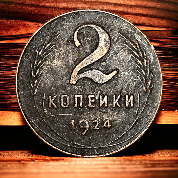 Монета СССР 2 копейки 1924 года - купить в интернет-магазине OZON с быстрой доставкой (1522819947)