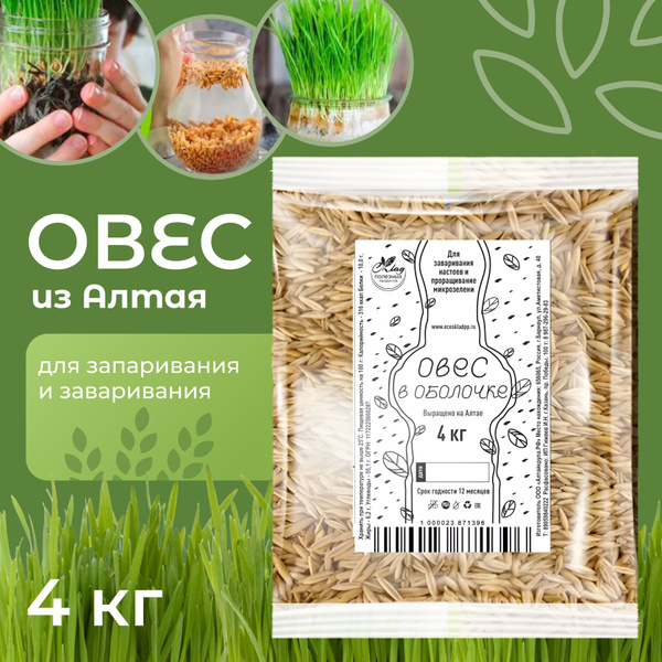 Овес в оболочке неочищенный в шелухе 4 кг для отваров запаривания ...