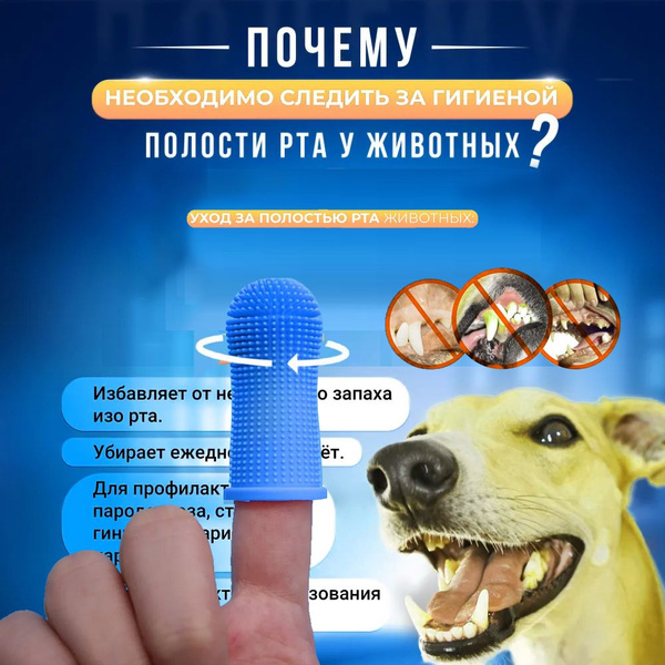 Зубная щетка для собак и кошек. Щетка для собак зубная напальчник. по ...