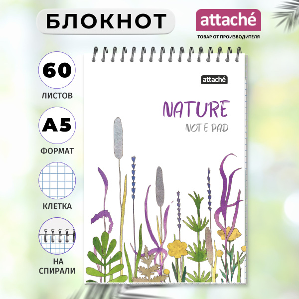 Блокнот Attache, А5, 60 листов, в клетку, на спирали - купить с ...