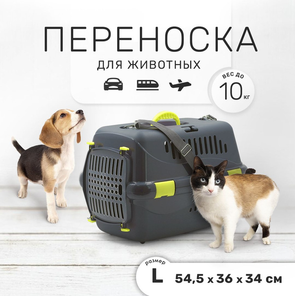 Пластиковая клиппер-переноска для кошек и собак, 54,5х36х34 см, с ...