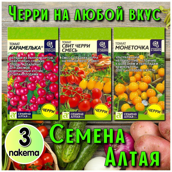 Томаты Семена Алтая Томат - купить по выгодным ценам в интернет ...