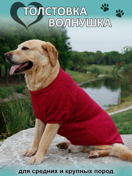 Толстовка "Рябь" для собак средних и крупных пород, цвет красный, размер 7XL, Rexy crew купить ...