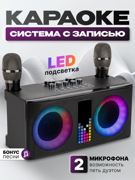 Караоке система YS-212 с двумя беспроводными микрофонами купить на OZON по низкой цене (2001744346)