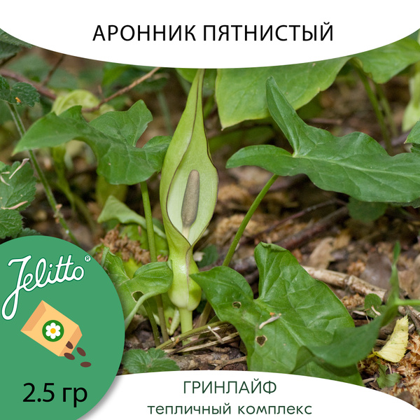 Jelitto Аронник_AA940, 2.5 г - купить по выгодным ценам в интернет ...