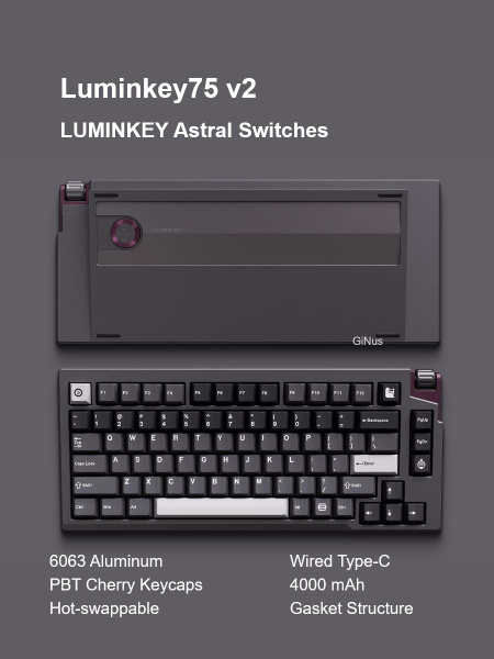 LUMINKEY Игровая клавиатура проводная Luminkey75 v2, Wired Type-C, Английская раскладка, серый ...