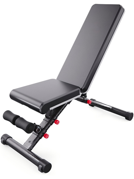 Скамья универсальная для жима DFC GT-616 / до 350 кг купить на OZON по низкой цене (2621952231)