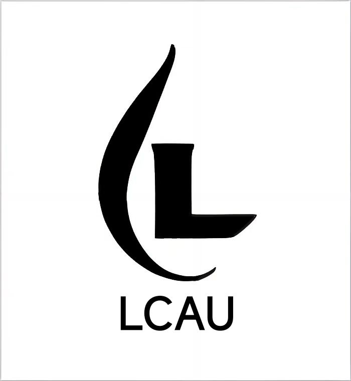 Lcau — купить товары Lcau в интернет магазине Ozon 3858