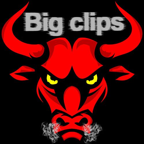 Big Clips — купить товары Big Clips в интернет-магазине OZON
