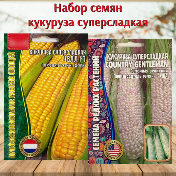Кукуруза Семена овощей для дачи Кукуруза суперсладкая набор 2 упаковки ...
