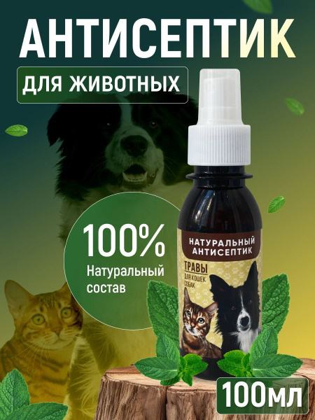 Спрей противовоспалительный для животных / антисептик для кошек и собак ...