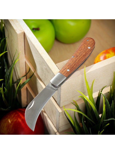 Grandy Ножи специальные купить на OZON по низкой цене (1467394960)