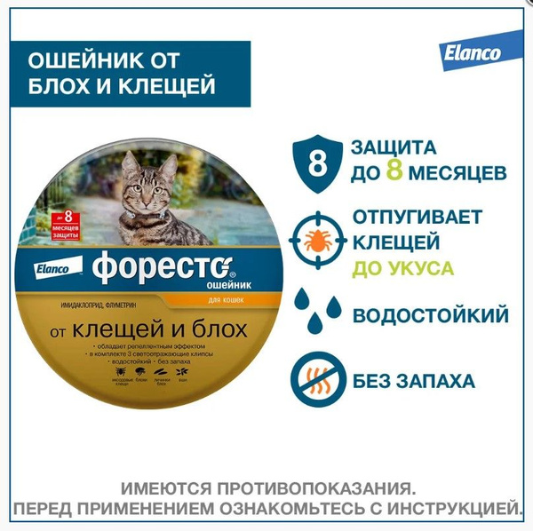 Форесто ошейник от клещей и блох для кошек (Срок годности 06/2024 ...
