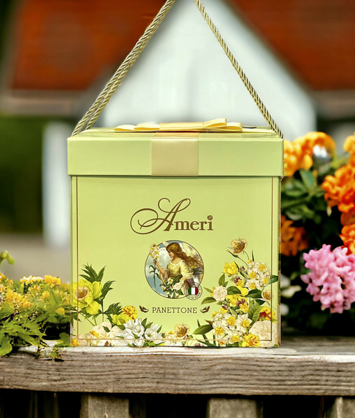 Кекс (кулич) Ameri с изюмом и апельсиновыми цукатами 900 г, Италия - купить с доставкой по ...