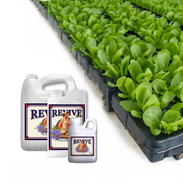 Удобрение Advanced Nutrients Revive, 250 мл - купить с доставкой по ...