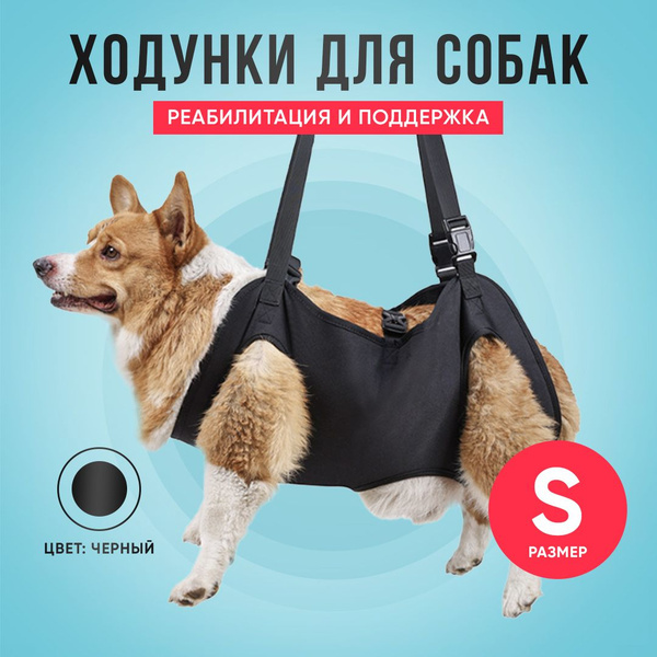 Ходунки для собак купить на OZON по низкой цене (1774768507)