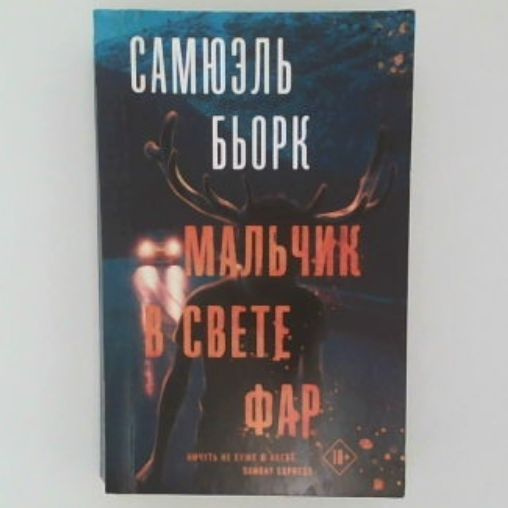 Мальчик в свете фар | Бьорк Самюэль - купить с доставкой по выгодным ...
