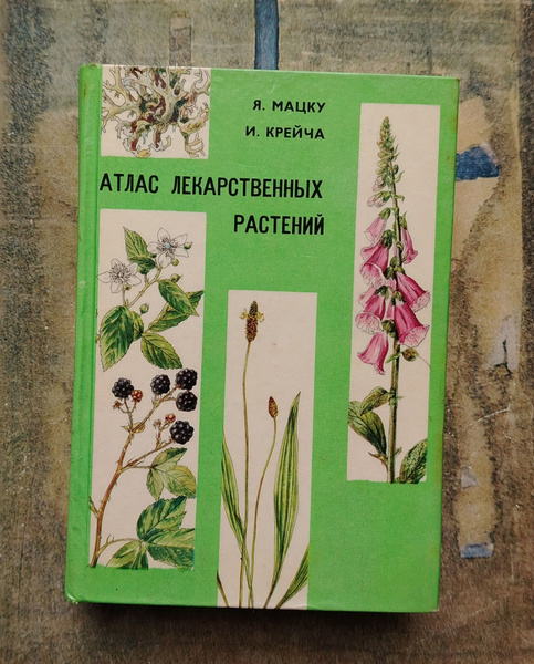 Атлас лекарственных растений. | Мацку Ян - купить с доставкой по ...