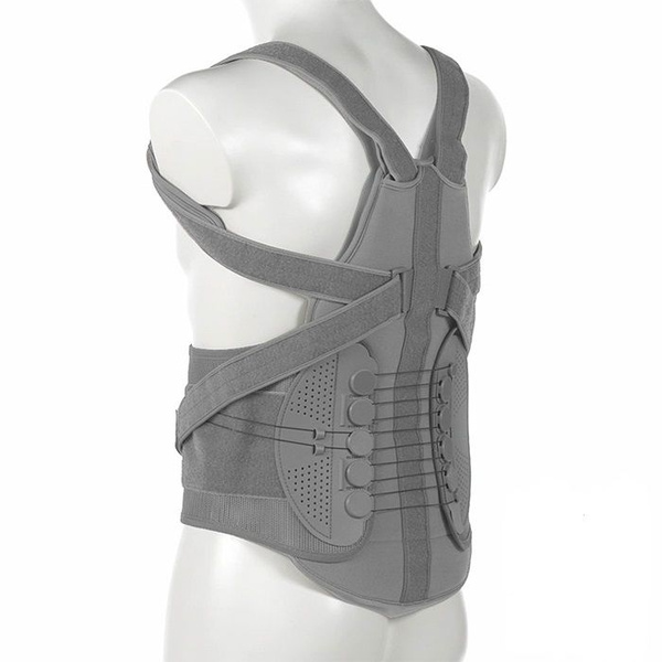 Грудо-поясничный корсет Smartspine extension brace 50R231 Otto Bock, XL Серый купить на OZON по ...