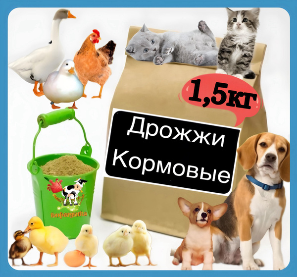 Дрожжи кормовые для животных 1,5 кг - купить с доставкой по выгодным ...