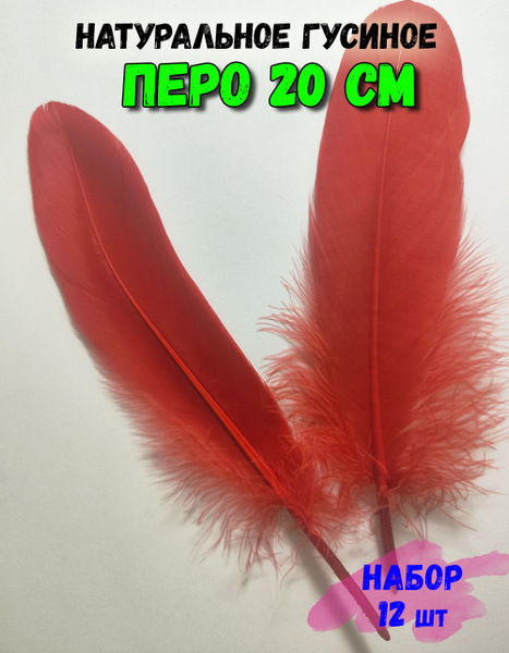 Перья гусиные натуральные 20 см 12 шт. Перо натуральное гусиное ...