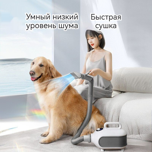 Фен-компрессор для собак, сушки животных с сенсорным цифровым дисплеем ...