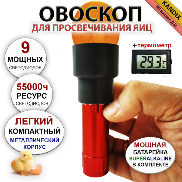 Овоскоп для поверки яиц ''KANDIX colorterm" купить на OZON по низкой ...