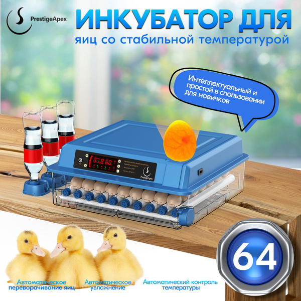 Инкубатор для яиц автоматический Ряба-64сР64 с терморегулятором ...