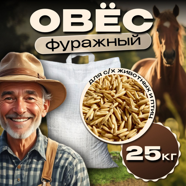 Овёс неочищенный для животных и птиц, для проращивания и заваривания 25 ...