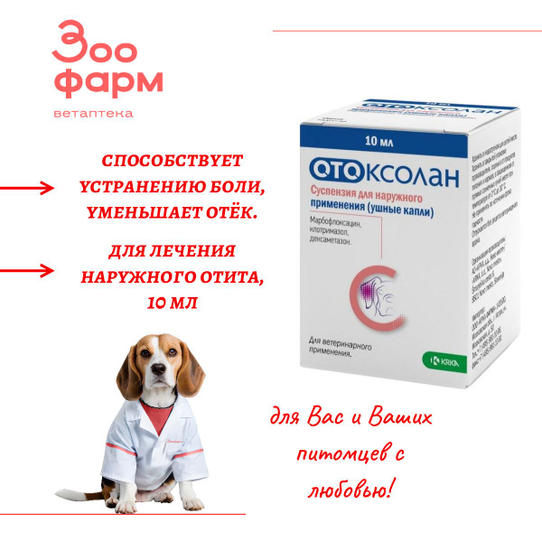 Отоксолан, 10 мл - купить с доставкой по выгодным ценам в интернет ...