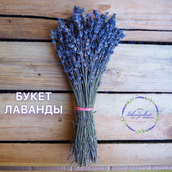 Сухоцветы Лавандовый стол Лаванда, 27 см, 55 гр, 1 шт купить по ...