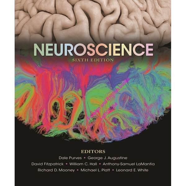 Neuroscience, Sixth Edition (Dale Purves, George J. Augusti English ...
