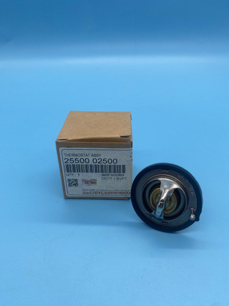 Hyundai-KIA Термостат автомобильный, арт. 2550002500, 1 шт. купить на ...