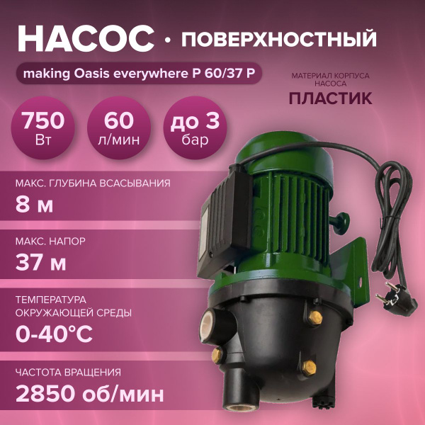 Садовый насос Oasis P 60/37 P, 220 л/мин купить c доставкой на OZON по низкой цене (1701621359)
