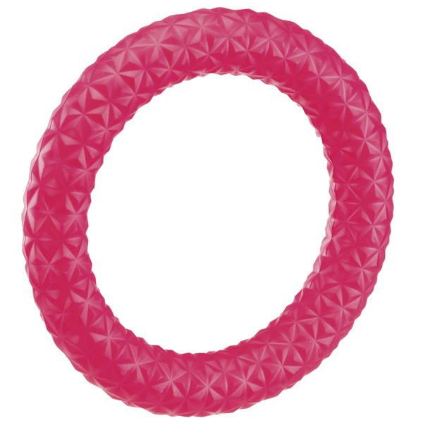 Игрушка-кольцо Ferplast PULL MAX 07 для собак, красная, 26,5 см купить на OZON по низкой цене ...