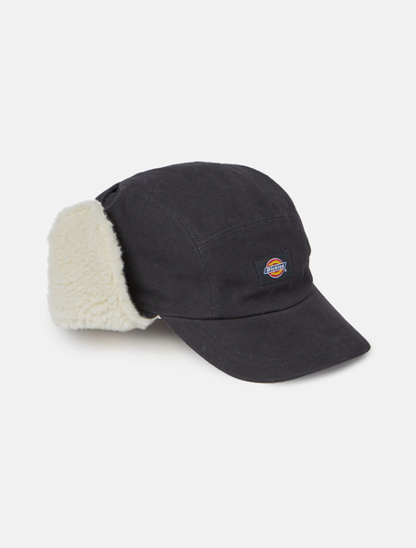 Кепка Dickies купить на OZON по низкой цене (1752830245)
