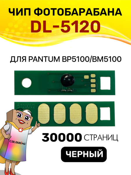 Чип Colouring для Pantum DL-5120 BP5100/BM5100 Drum 30K купить на OZON ...