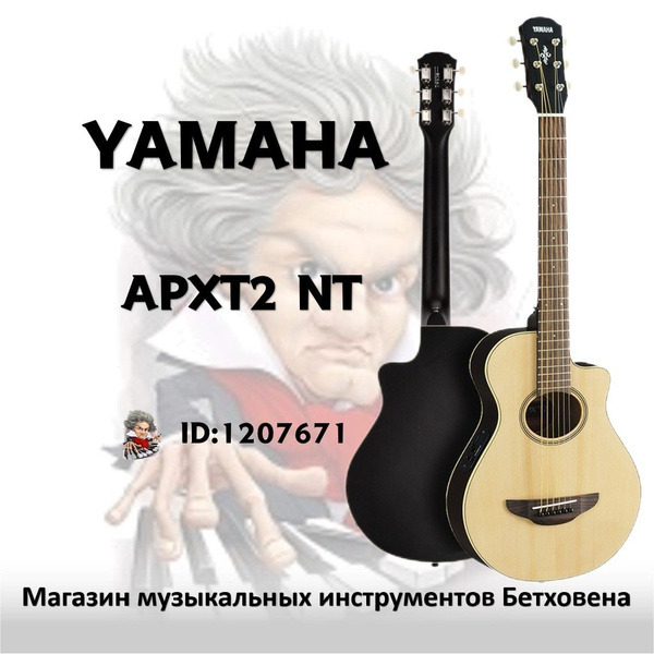 Yamaha Акустическая гитара APXT2EW/APXT2 6-струнная, корпус Палисандр ...