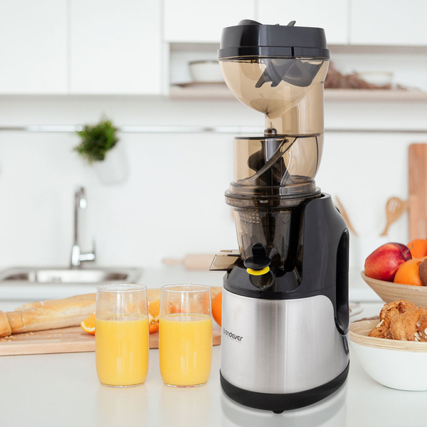 Соковыжималка шнековая Endever Sigma-103, 420Вт, вертикальная, серебристо-черный купить на OZON ...