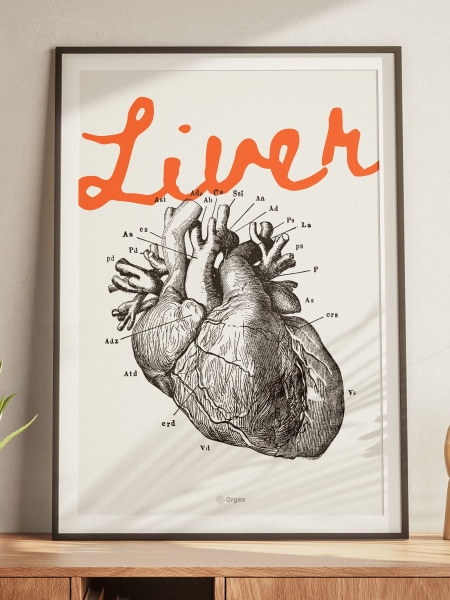 Постер Orgee Арт купить c доставкой на OZON по низкой цене (1857086097)