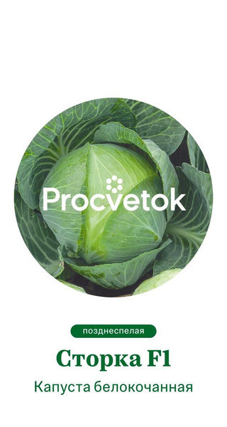 Procvetok Брокколи Гераклион F1 - купить по выгодным ценам в интернет-магазине OZON (1984756682)