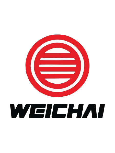 Свеча зажигания TORCH 1000450457 для Weichai, , шт купить на OZON по ...