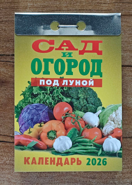 Атберг 98 Календарь 2026 г., Отрывной, 7,5 x 12 см купить на OZON по низкой цене (1551961808)
