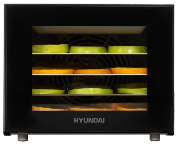 Сушилка Hyundai HYFD-1204 купить на OZON по низкой цене (2844108284)