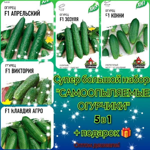Огурцы АртеНастик овощи_зеленый_Апрельский, Зозуля, Виктория, Конни ...