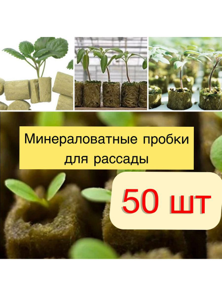 Проращиватель семян,50шт - купить с доставкой по выгодным ценам в ...