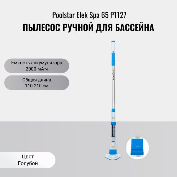 Пылесос ручной Poolstar Elek Spa 65 P1127 купить на OZON по низкой цене (1575618721)